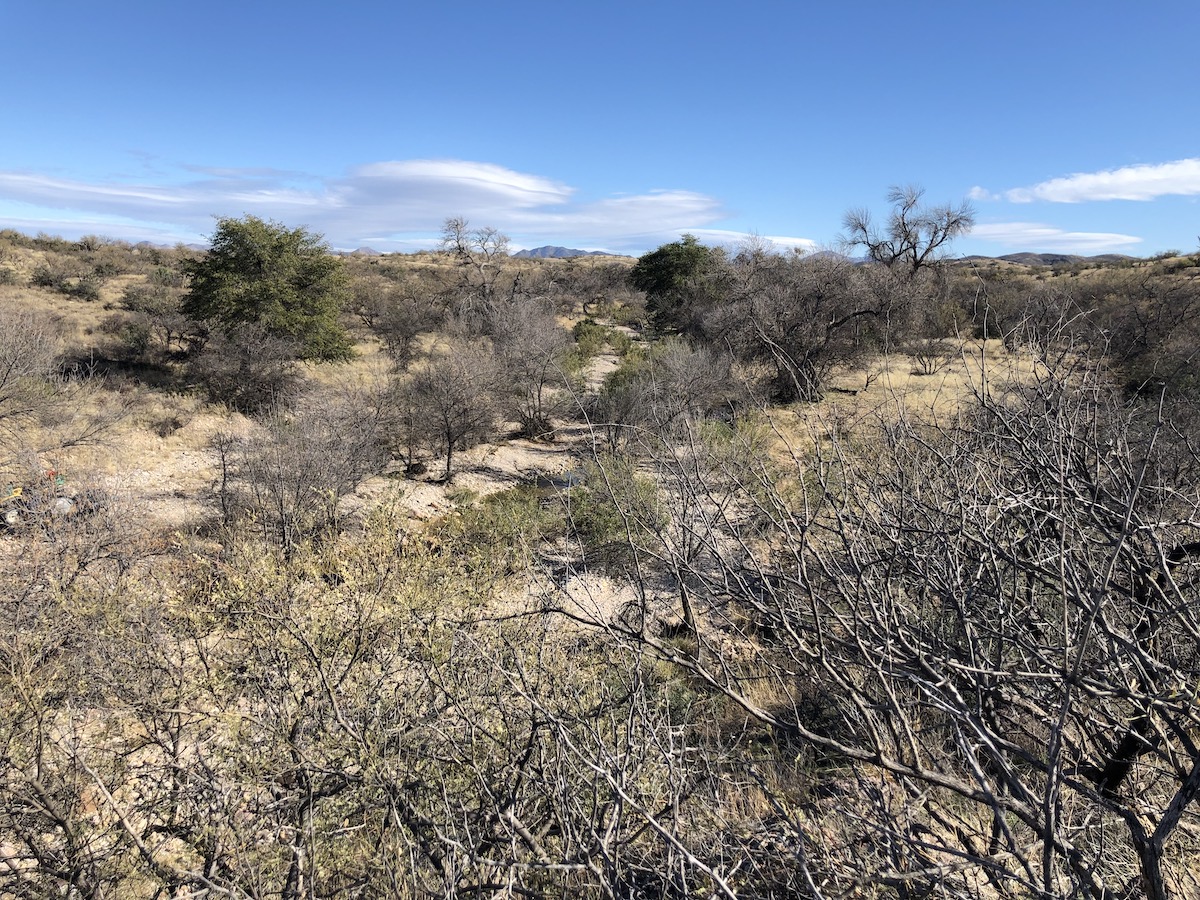 Mustang Arizona State Land Lease, Pimi County, Arizona