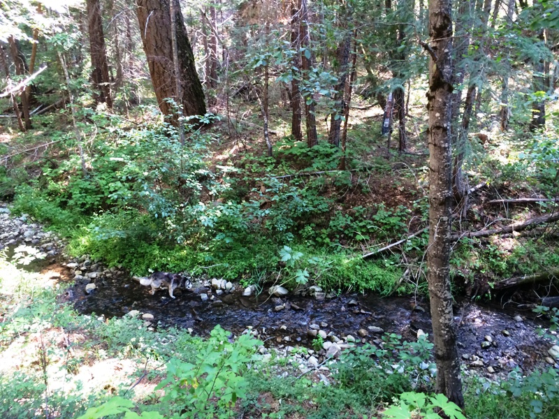 AGE, Claims For Sale, Black Gulch/Black Mongoose