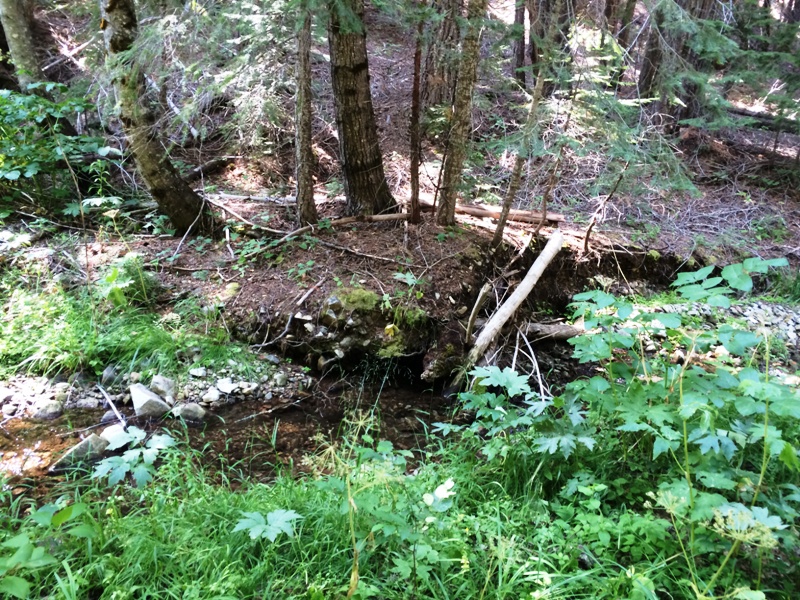 AGE, Claims For Sale, California, Plumas County, Black Gulch, Black Panther