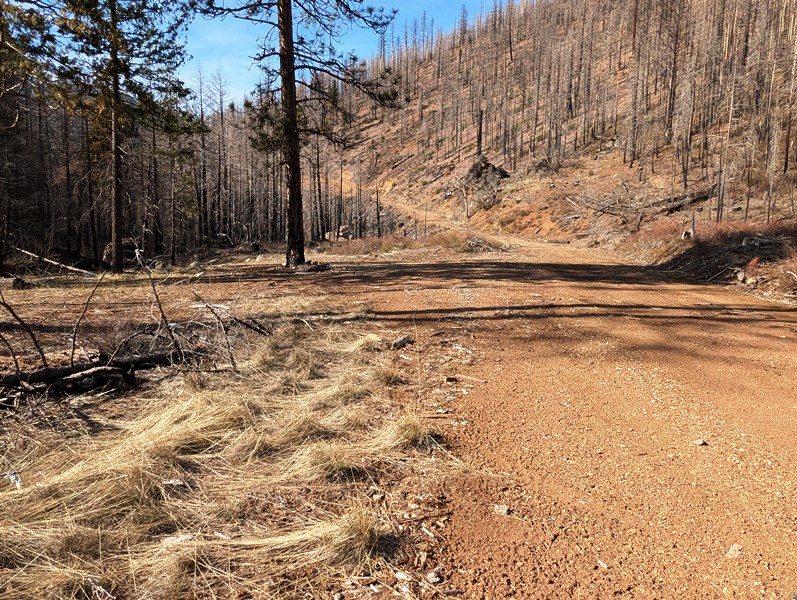 AGE, Claims For Sale, Little Grizzly Creek, Grizzly Flat #2