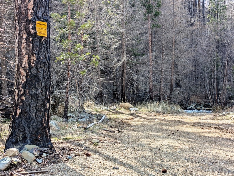 AGE, Claims For Sale, Little Grizzly Creek, Grizzly Flat #2